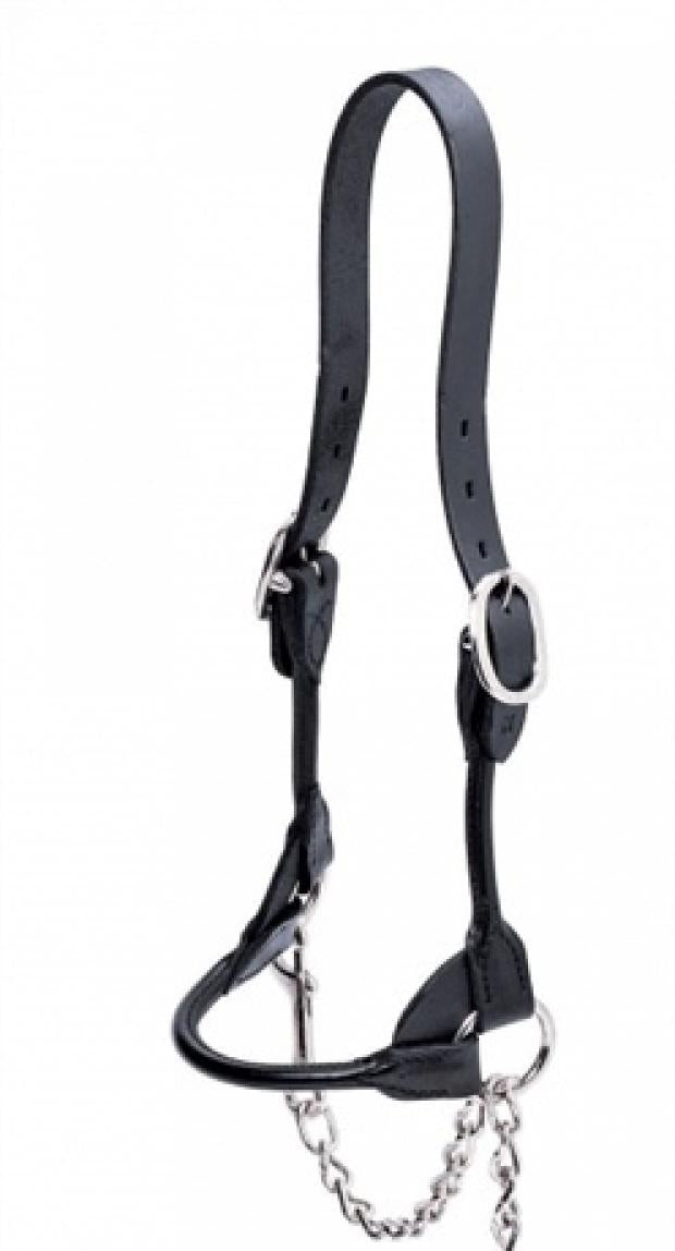 Leather Cow Show Halter with Chain [039121104] – Eurofarm & Garden ...