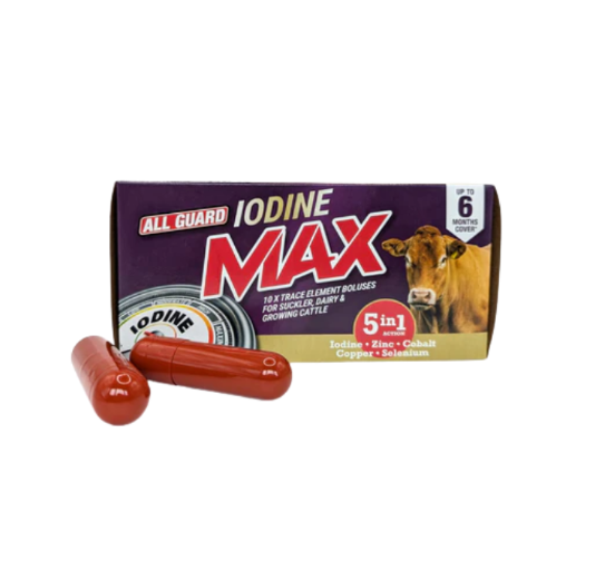 All Guard Cattle Bolus 10S for Suckler and Dairy Cows [112ALLG10 ...