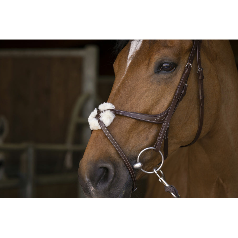 Norton Pro cross noseband Bridle [037301893] – Eurofarm & Garden ...