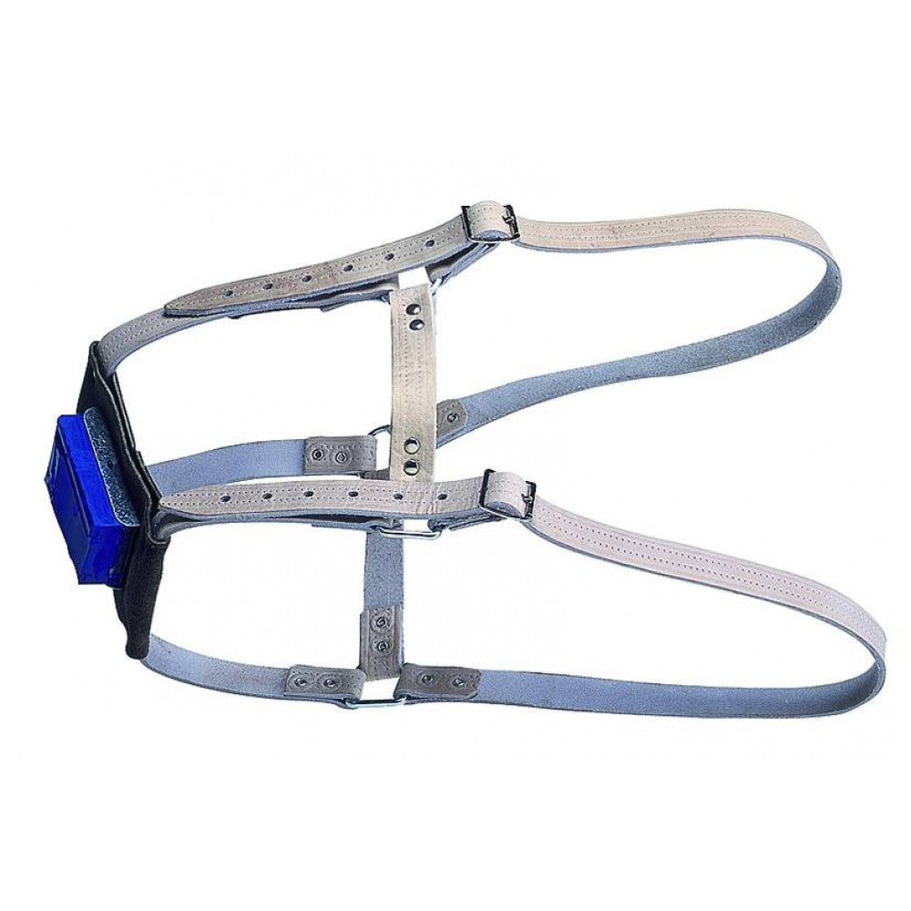 Bull Leather Marking Harness [108598] – Eurofarm & Garden Supplies ltd